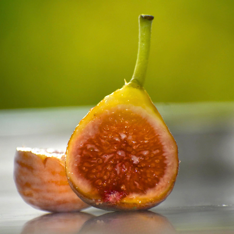 Pune Red Fig Live Plant (Ficus carica) – Bees Plant Hub